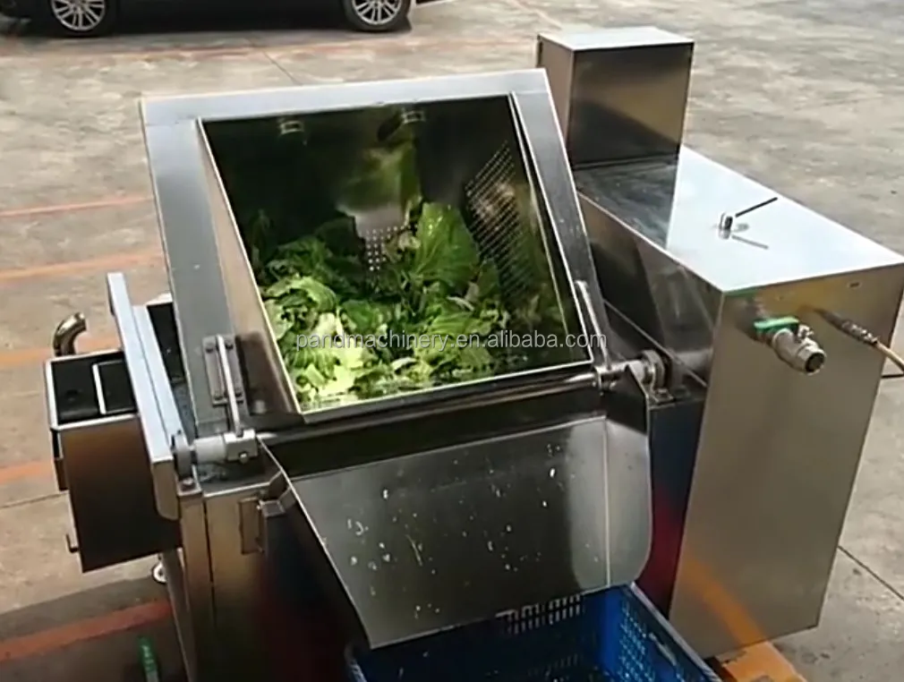 Industrial Automatic Fruit Vegetable Leaf Washing Machine