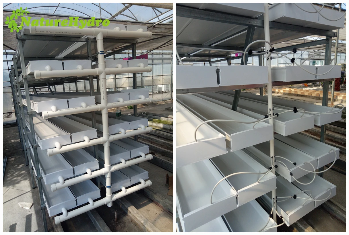 Vertical Barley Rack Machine - Efficient Hydroponic Fodder Growing System