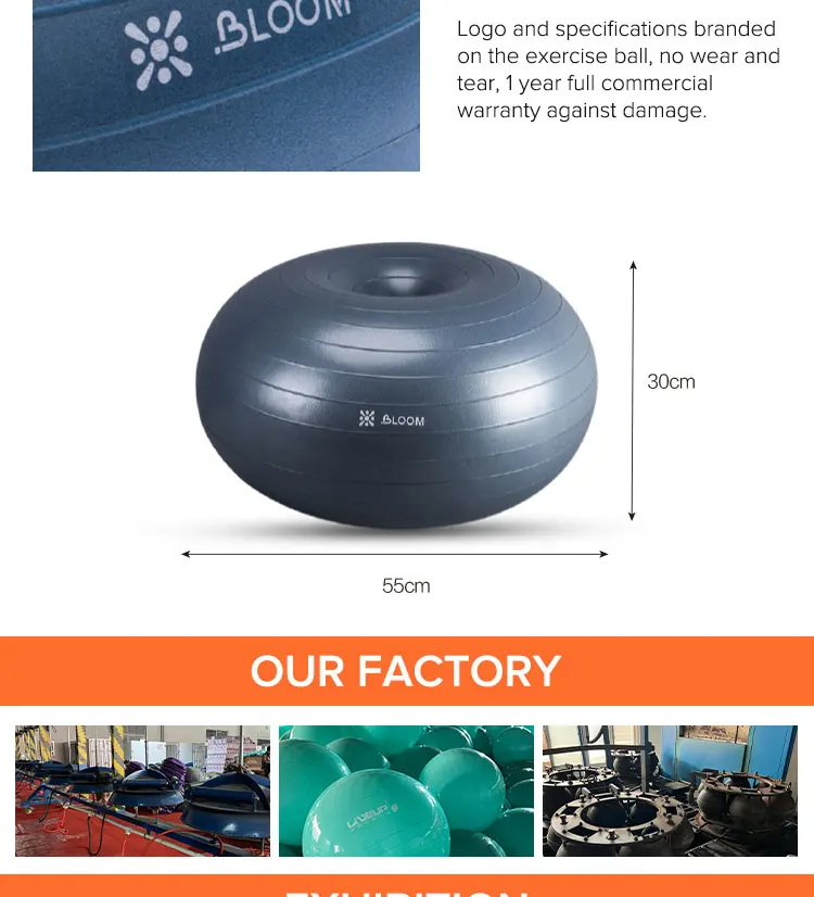 Home/Gym Workout Fitness 55cm Exercise Ball Chair Equipment PVC Balance ...