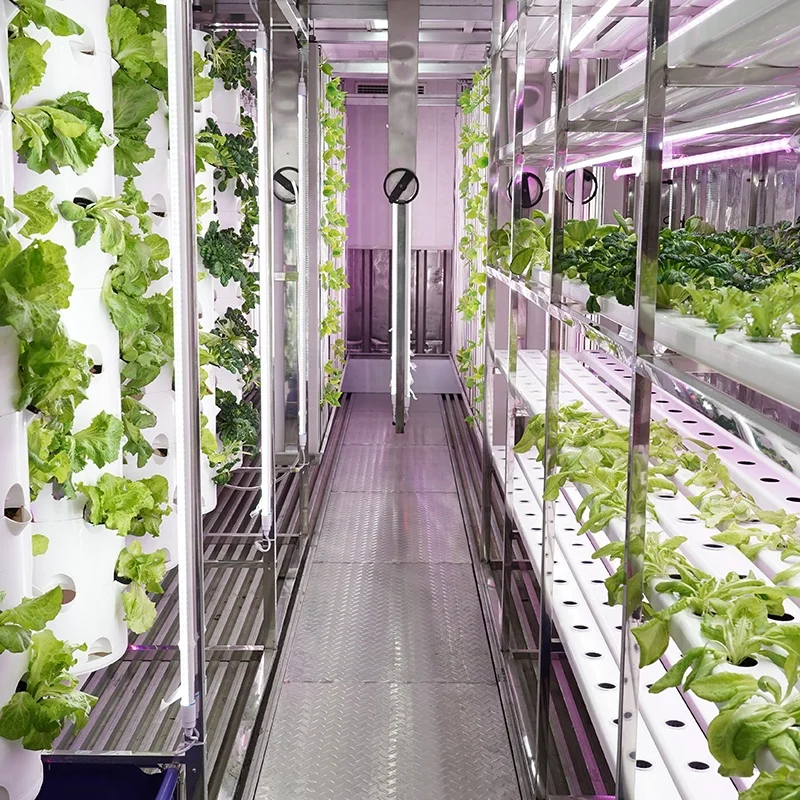 40FT Smart Shipping Container Farm - Double Side Hydroponics