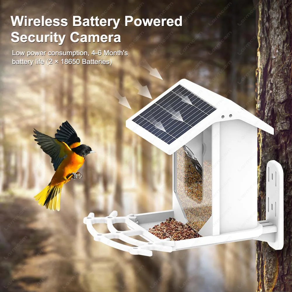 Wifi Bird Feeder Camera With Solar Panel Wireless Battery Video ...