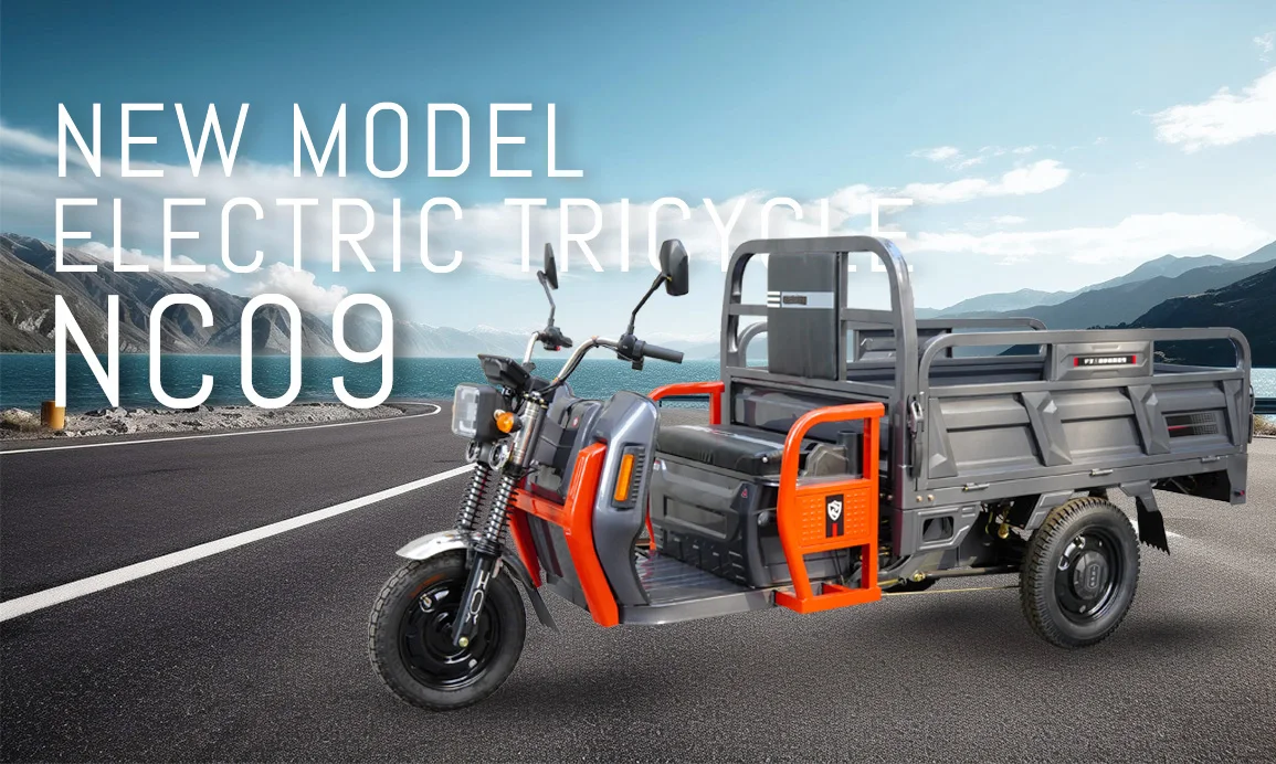 Electric Tricycles 45AH E Tricycle High Speed E-Trikes 3wheel Adult ...