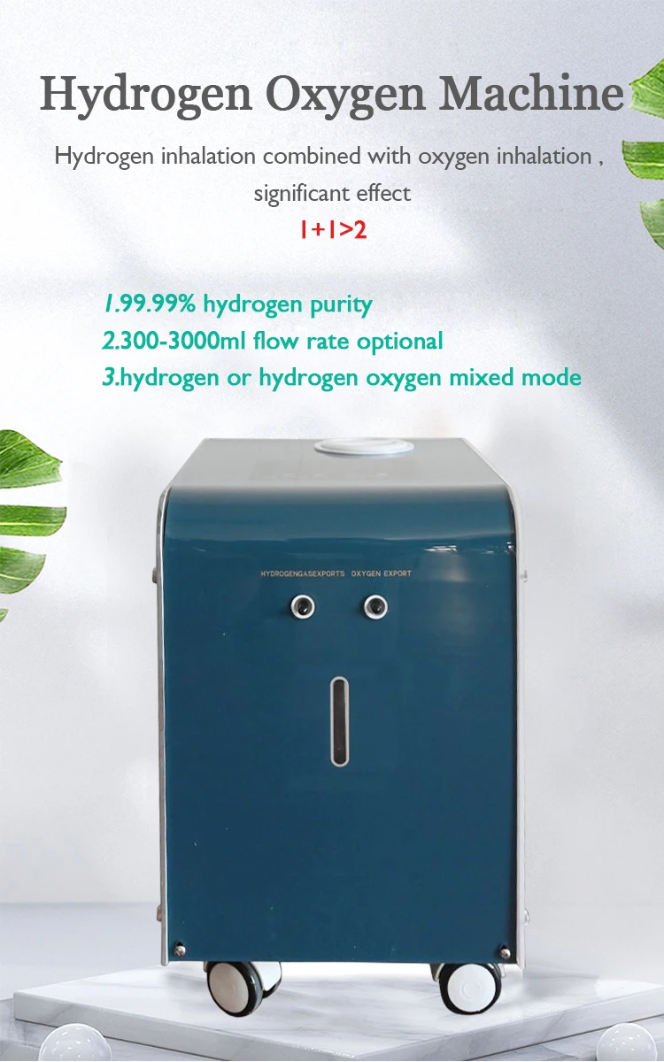H2 Rich Hydrogen Inhaler Portable 220V Hydrogen Water Generator for ...