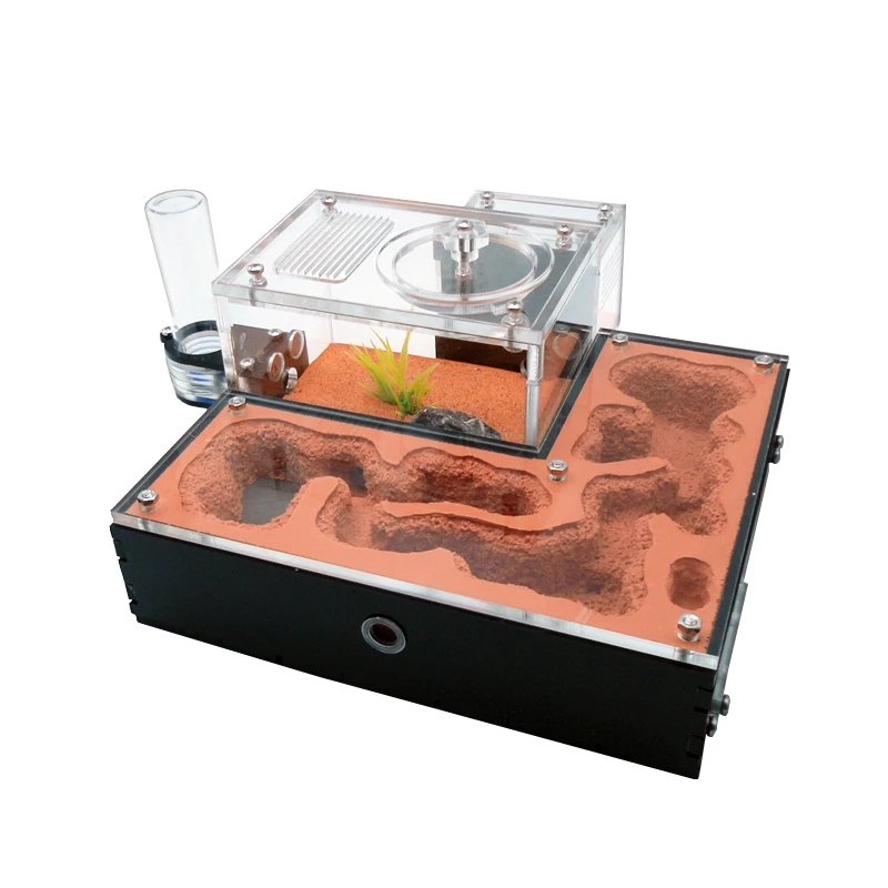 Ant Queen Anthill Castle Ant Farm with Water Tower & Eco-Friendly Design