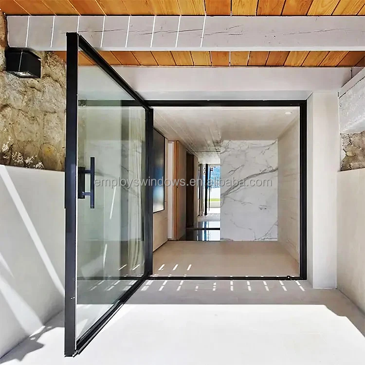 Forster Profile Steel Door Frame Pivot Entry Doors Modern Tempered ...