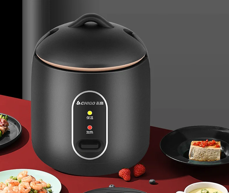 Mini Cooker Portable Top Ranking Electric Cooker with Steamer