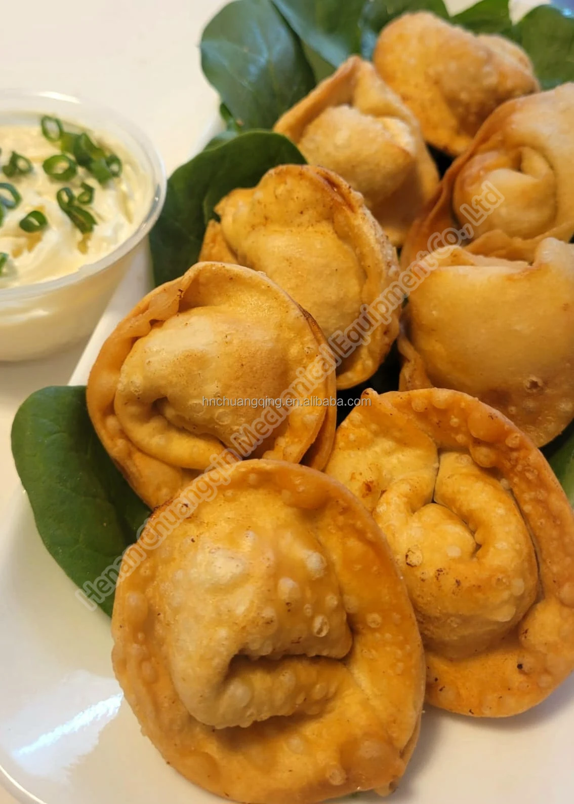 Wonton Making Machine Price Wonton Machine with Wrapper Making Wonton ...