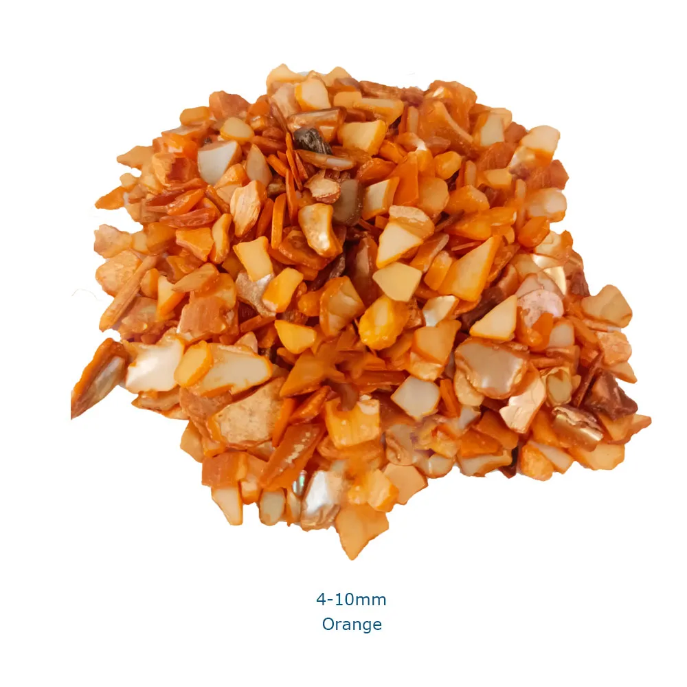 Irregular Shape Natural Crushed Shells for DIY Crafts