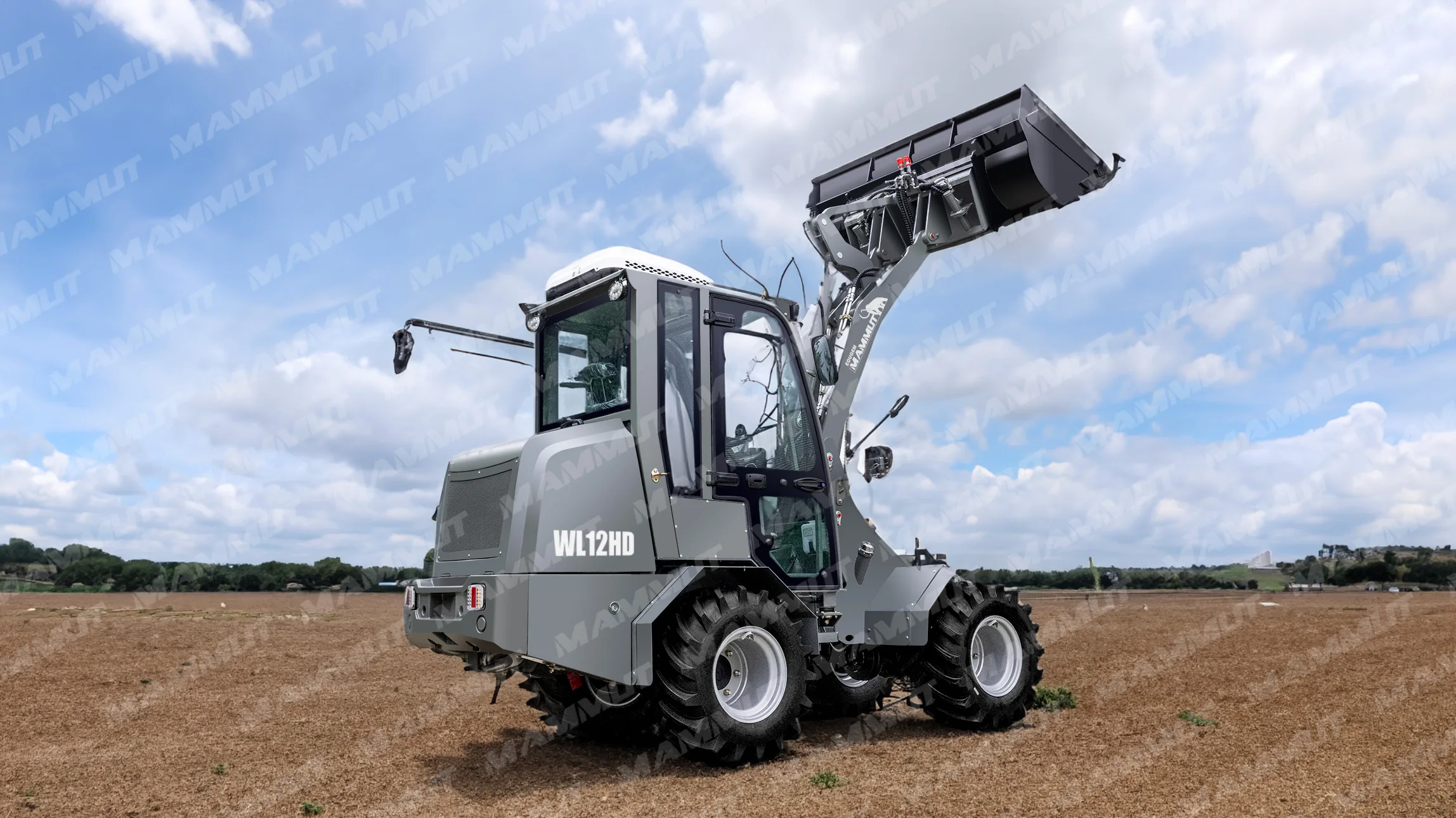 Hydrostatic Loaders Wheel Model Wl35 Operation 1000kg 1ton Farm ...