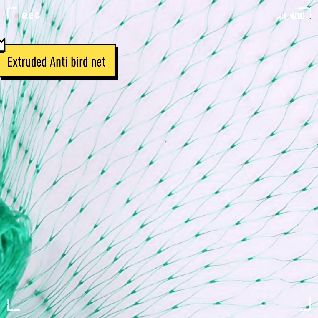 Green Anti Bird Protection Net Garden Plant Netting - Buy High Quality ...