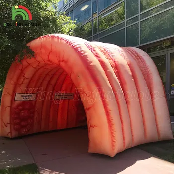 Inflatable Colon Tunnel Medical Large Intestine Organ Bowel Cancer ...