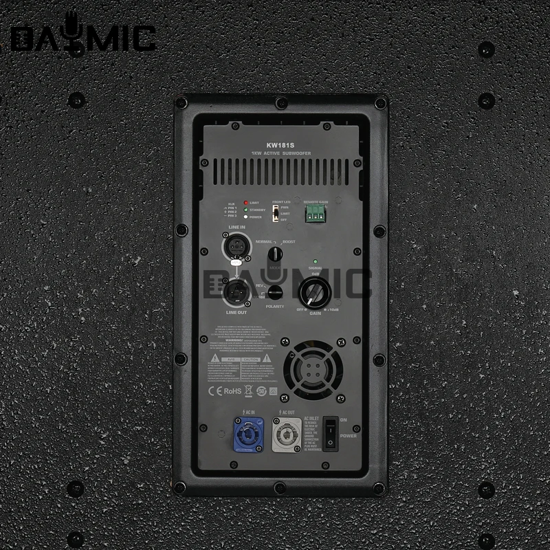 Aoshen 1000W Active Speaker Amplifier Module for Subwoofer