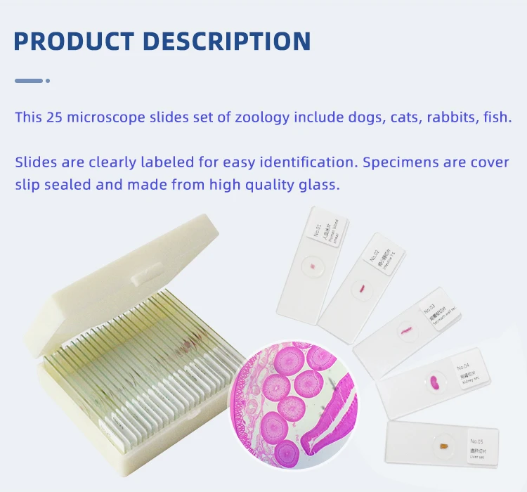 25 Pieces Zoology Microscope Slides Prepared Slides Set Zoology ...