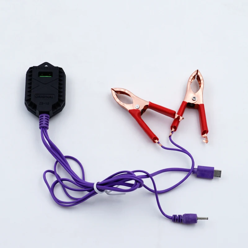 Shanpin Portable Car Battery Charger 12v/24v Clip Chargers With Led ...