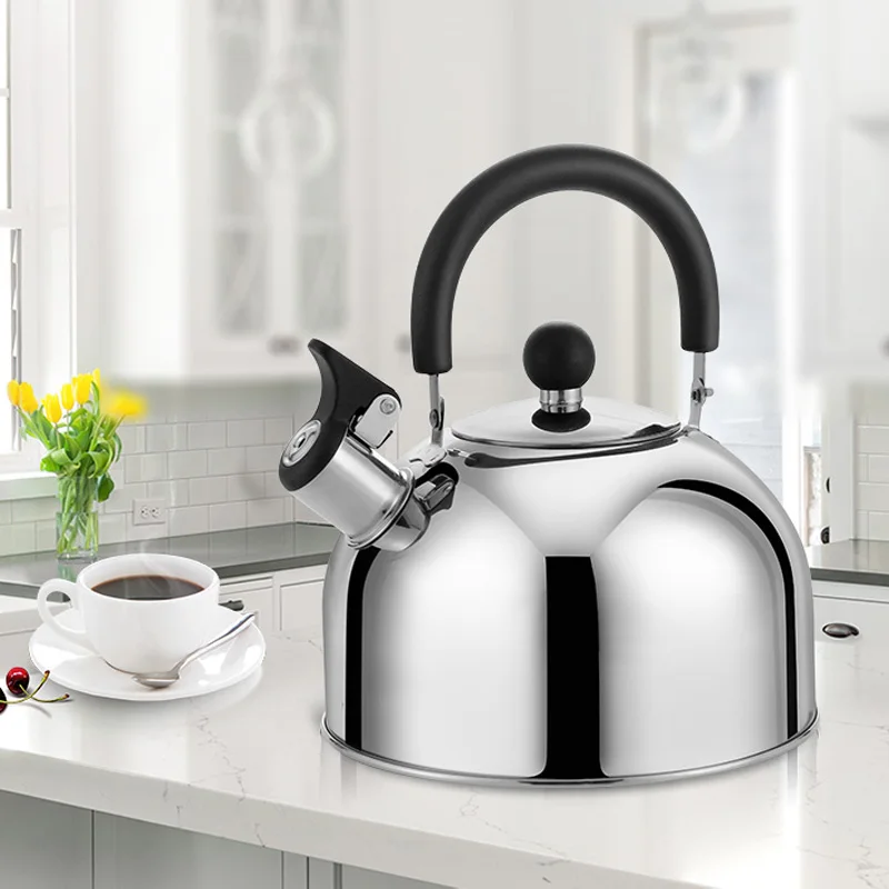 Goldensea Silver Non Electric Induction Gas Tea Pot