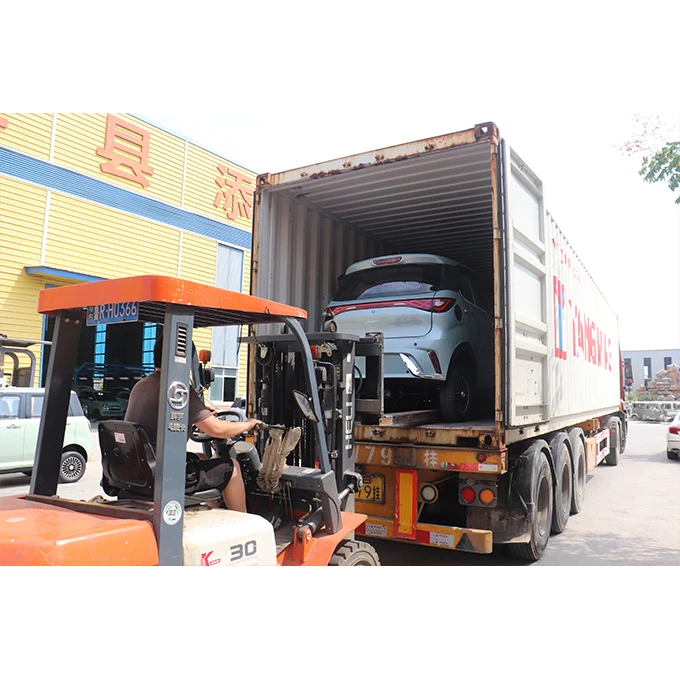 Eec4x4 Small Electric Vehicle New Multi-purpose Left Rudder Lead-acid ...