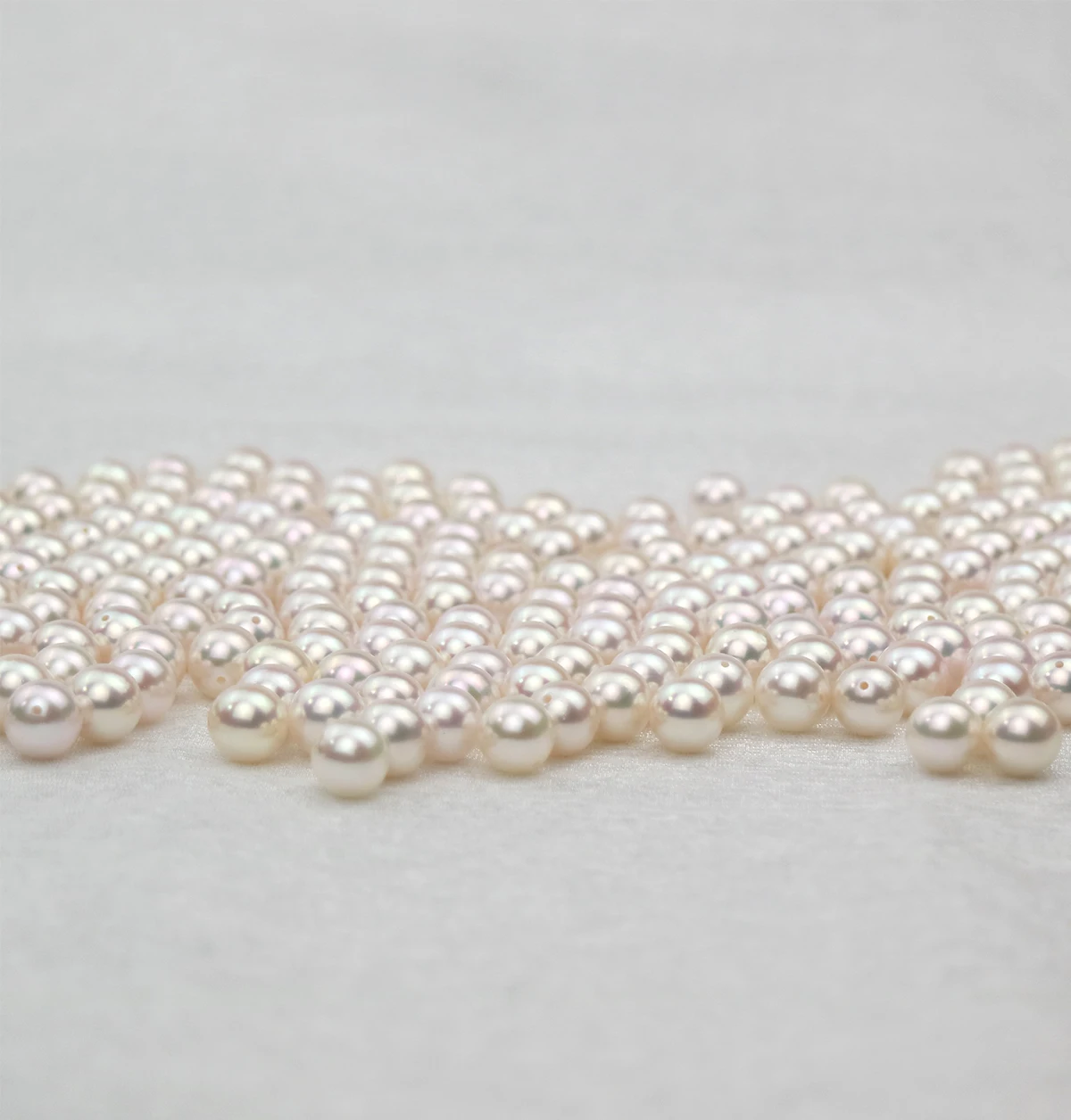 Wholesale Japanese Akoya Pearls - High Quality & Luster
