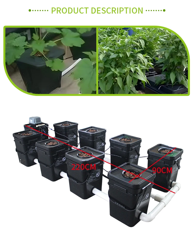 Rdwc 8 Buckets Recirculating Hydroponic System Dutch Bucket System - Buy Hydroponic System,Rdwc ...