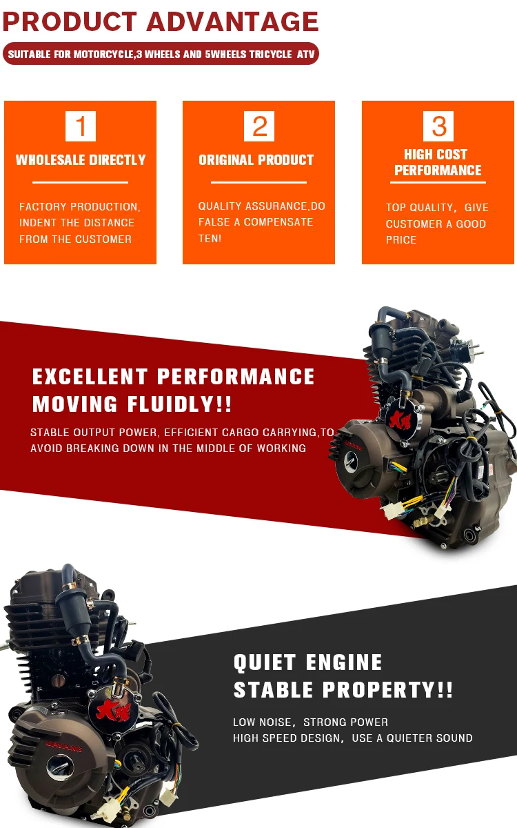DAYANG 200cc Water-Cooled 4 Stroke Petrol Motorcycle Engine Assembly ...