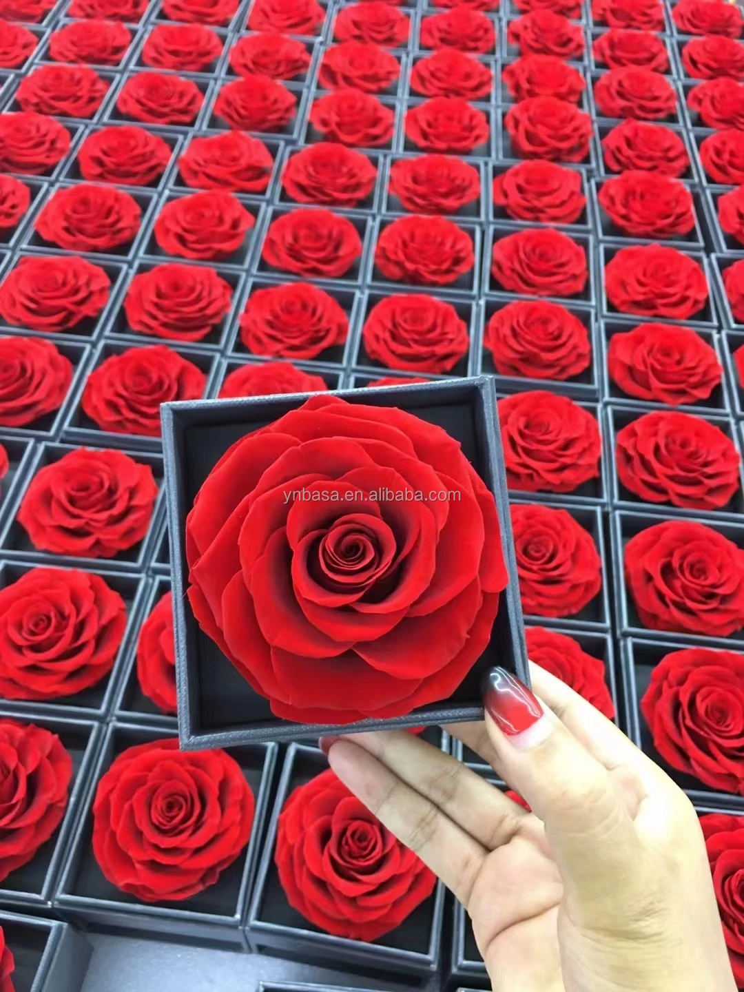 Customized Logo Immortal Infinity Eternal Forever Preserved Flower Box