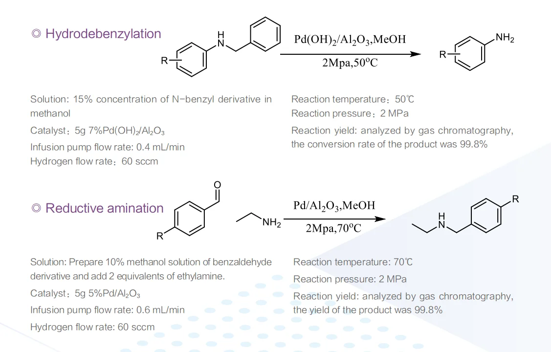 H-flow Fully Automatic Hydrogenation Reactor - Buy H-flow Fully ...