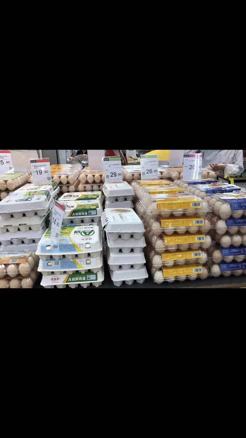 Glossy & Matt Laminated Egg Packaging Boxes Egg Cartons with Embossing ...