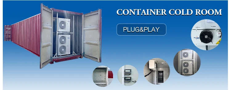 40ft Container Cold Room Cold Storage Fish - Buy Industrial Walk In ...
