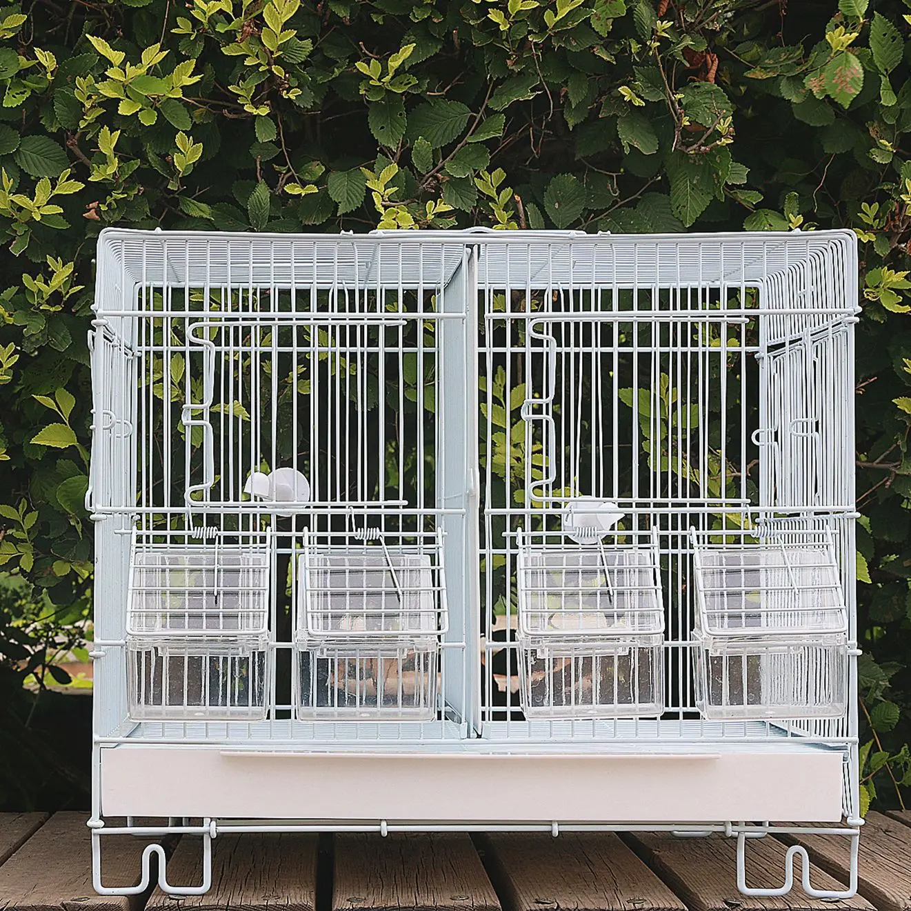 Wholesale Parrot Hibiscus Bird Superposition Partitioned Breeding Bird ...