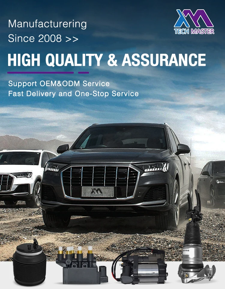 BMW E71 X5 X6 Air Suspension Shock Struts - OEM Quality