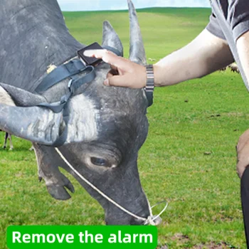 Solar Collar 3g Cattle 4g Animal Tracking Micro Chip 4g Mini Gps ...