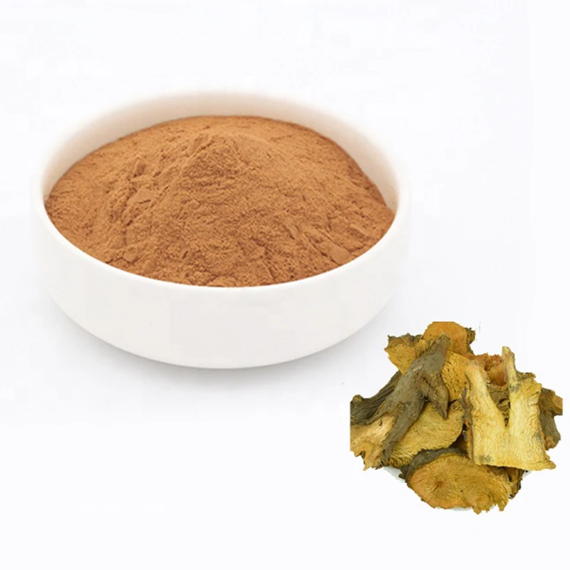Pure Natural Giant Knotweed Extract Emodin Powder Polygonum Cuspidatum ...