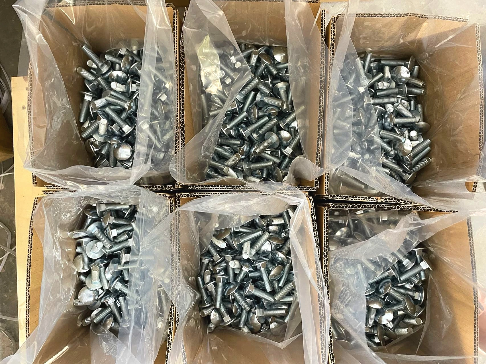 DIN 603 Stainless Steel Carriage Bolts - Durable & Versatile