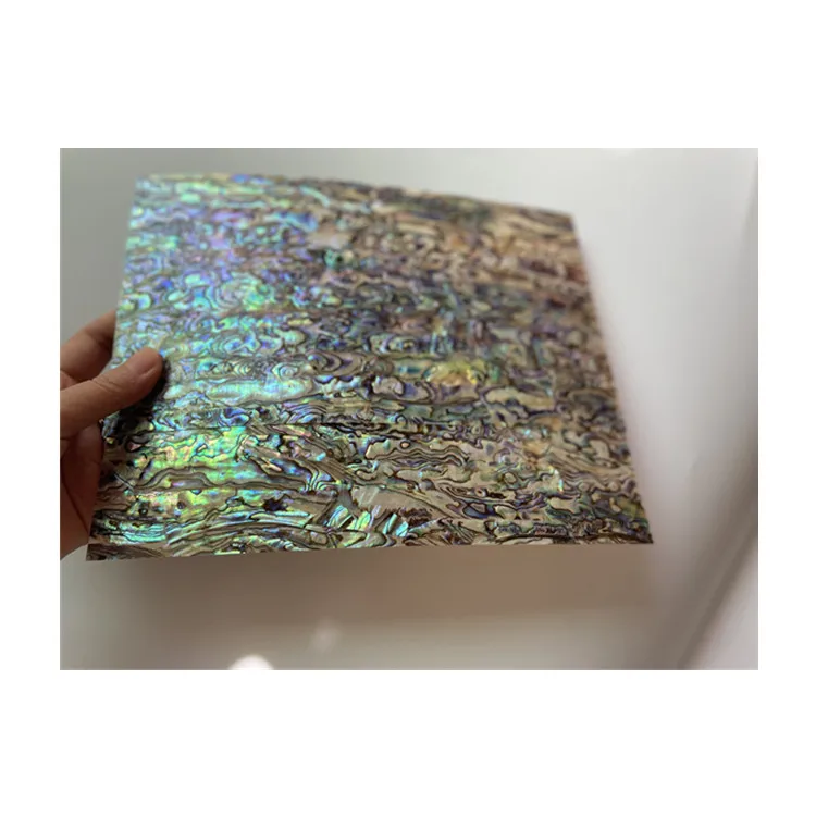 Wholesale New Zealand Abalone Shell Sheet Mother Of Pearl Shell Sheet ...