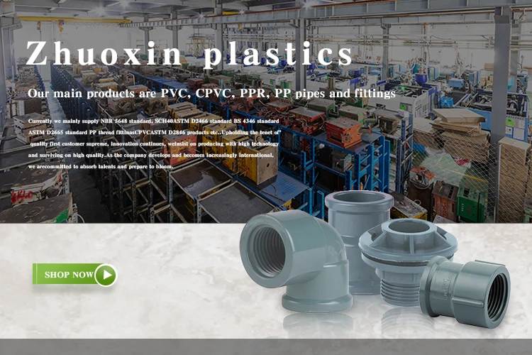 Pvc Plastic Philippines Din Standard Pipe Transition Fittings Reducing ...