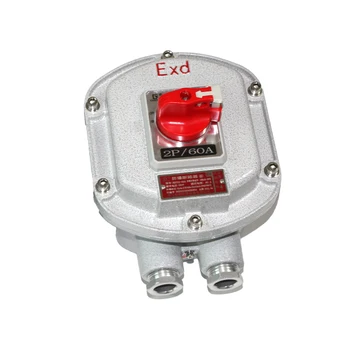 Explosion-proof Circuit Breaker Iib 2p/3p Customized Industrial Factory ...