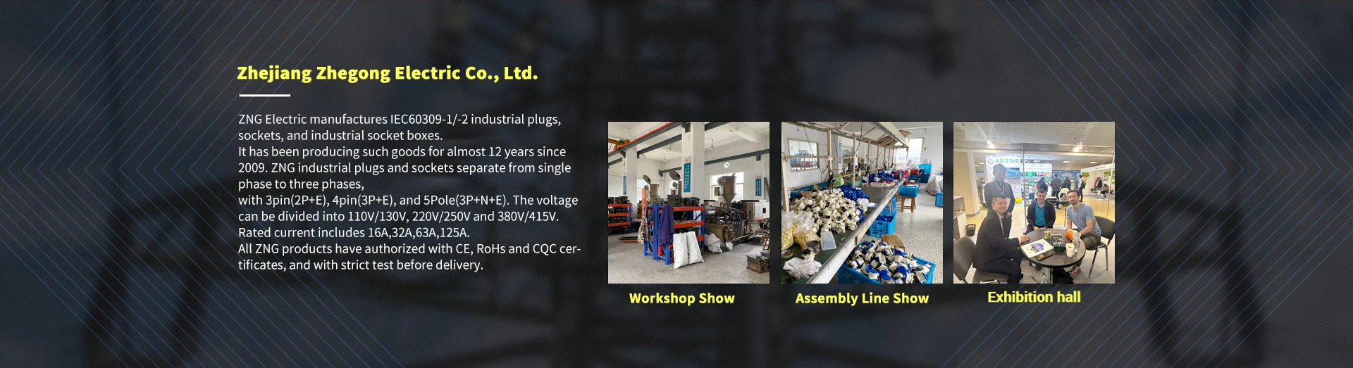 Company Overview - Zhejiang Zhegong Electric Co., Ltd.