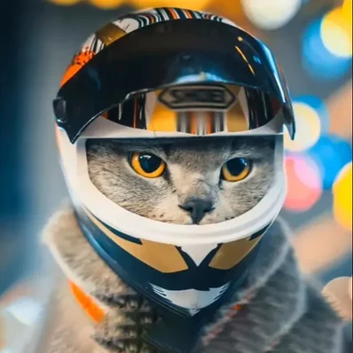 Safe and Stylish Cat Helmets from Fx Motor - Mini Head Protection