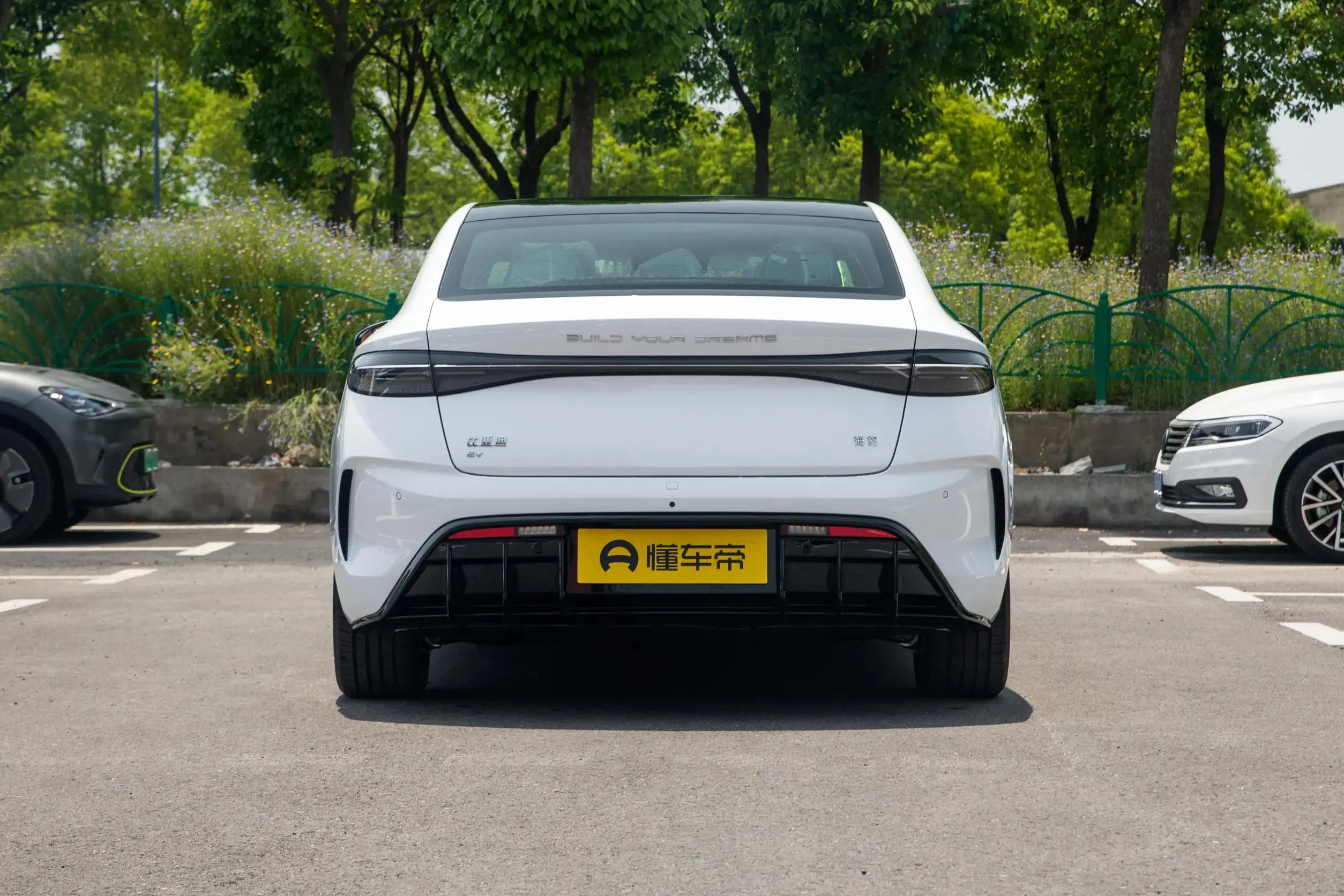 Byd Dolphin Small Electric Cars Version Ranges Electric Vehicle Adult ...