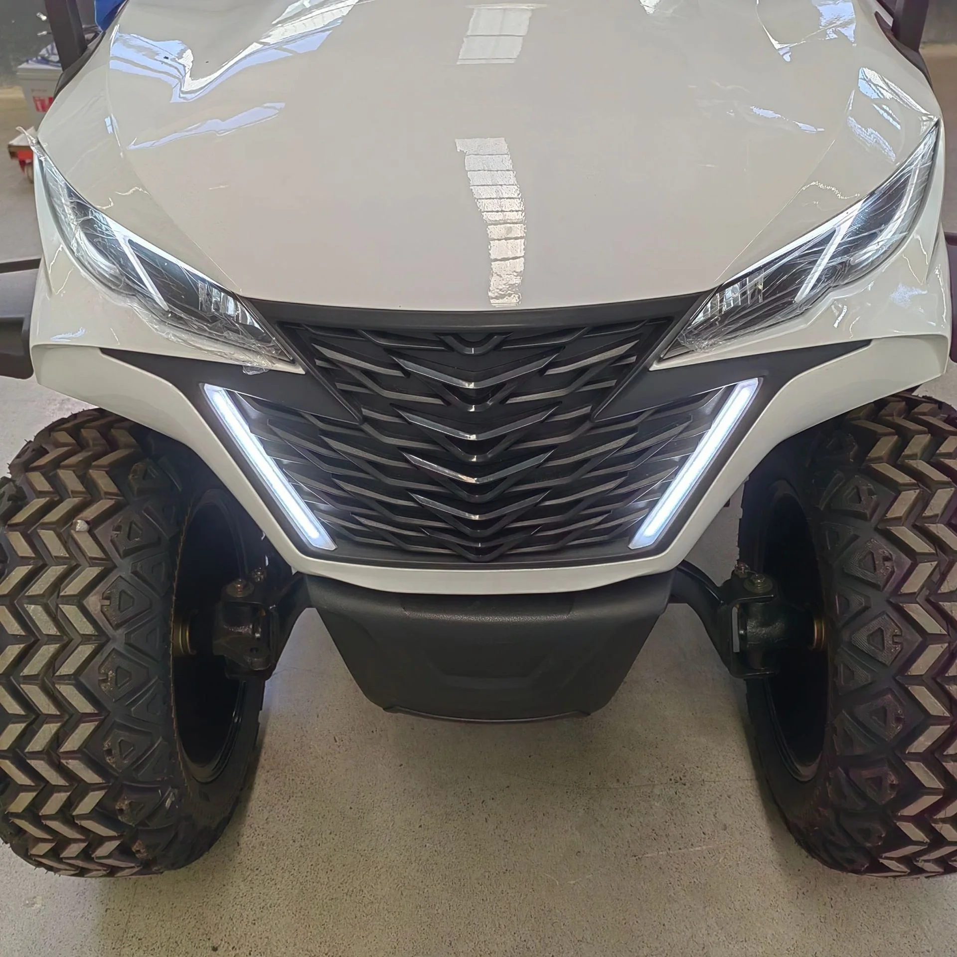 White 4 6 8 Seater Big Motor off-Road Legal Gas Golf Buggies Cart