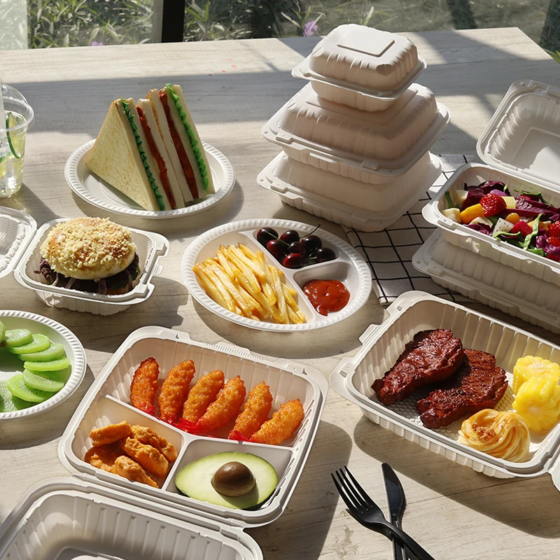 Biodegradable Disposable Food Containers Manufacturers Clamshell Lunch ...