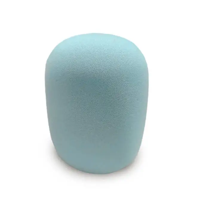 Thickened Intensification Microphone Foam Cover Mic Sponge Microphone ...
