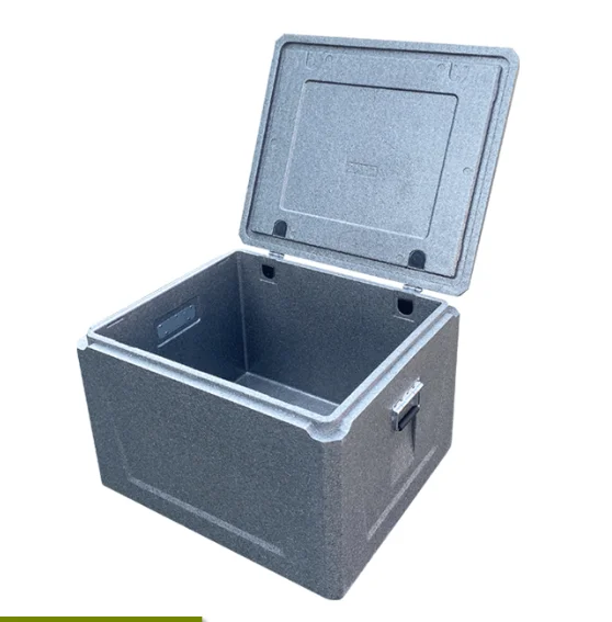 Portable Mini Retro Car Cooler Box 12v with Table and Chair Epp Cooler ...