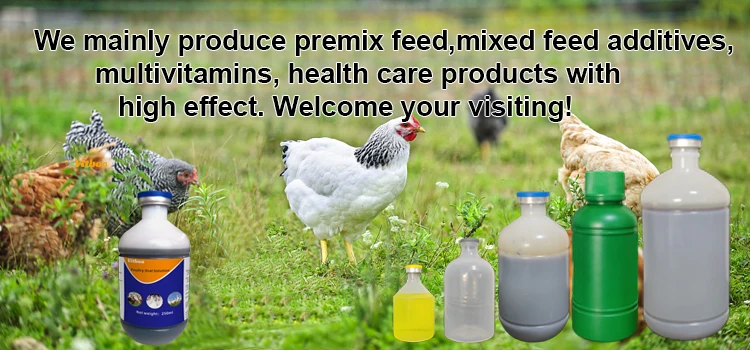 Vitboo New Probiotics Oral Liquid For Chicken Poultry Oral Solution For ...