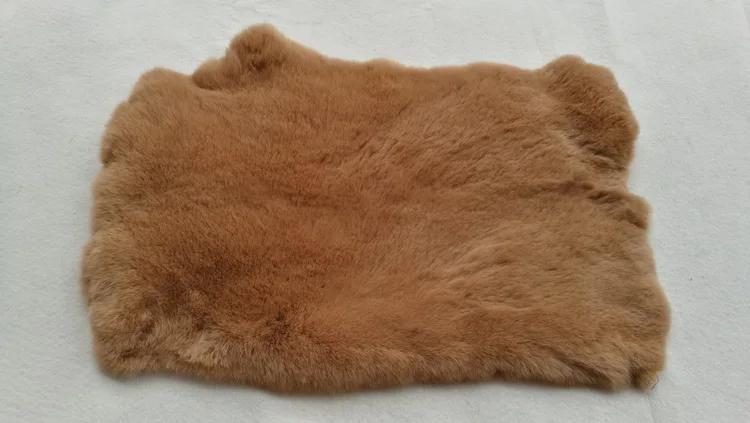 Winter Frozen Rex Rabbit Fur Pelt Skins Soft Thick Hairs Dyed Natural ...