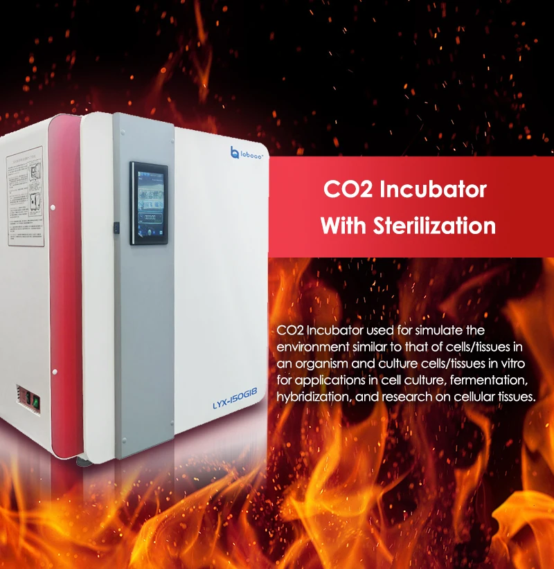 Laboao CO2 Incubator: Precision Cell Culture Solution with ...