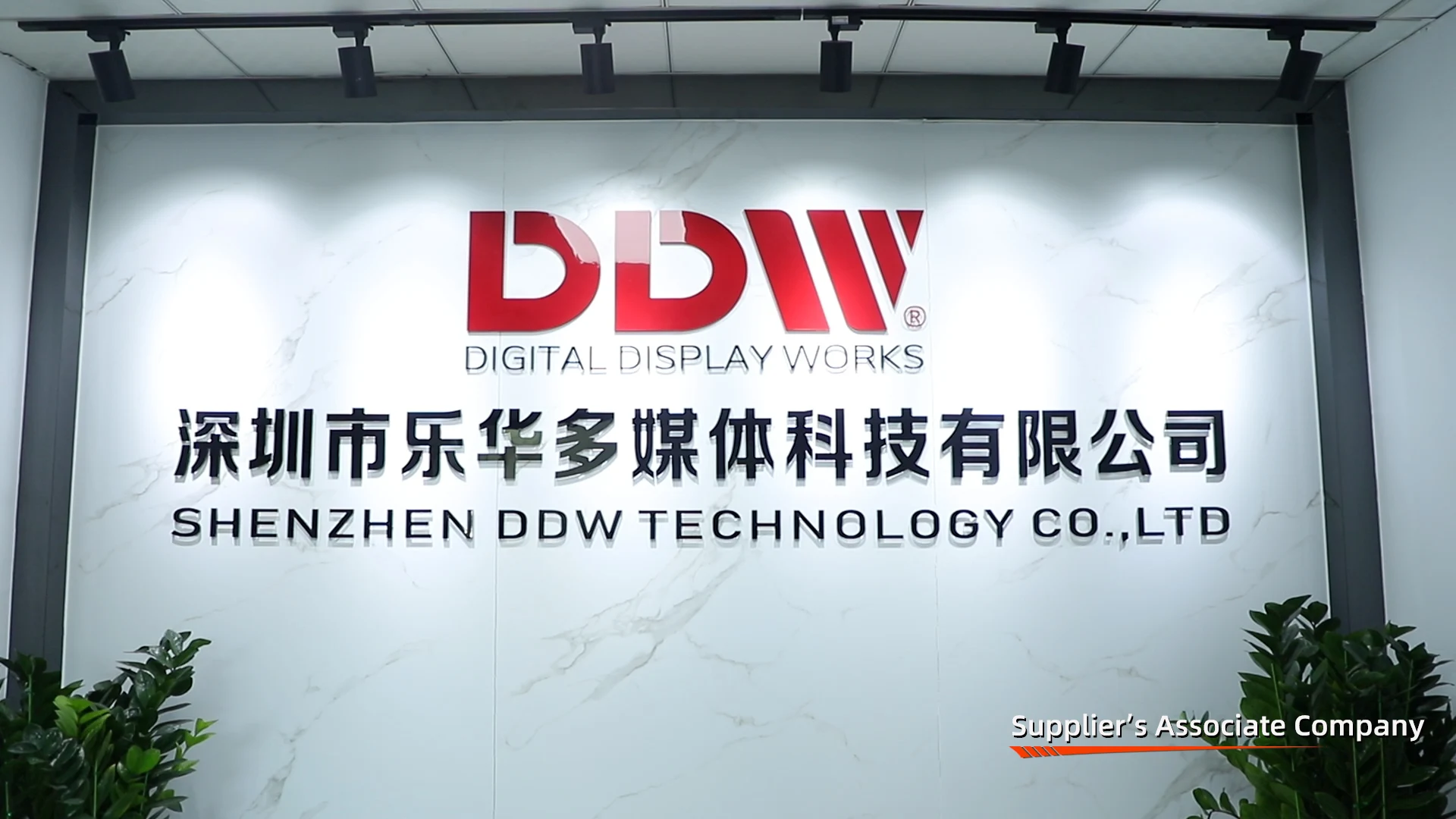 Company Overview - Shenzhen DDW Technology Co., Ltd.