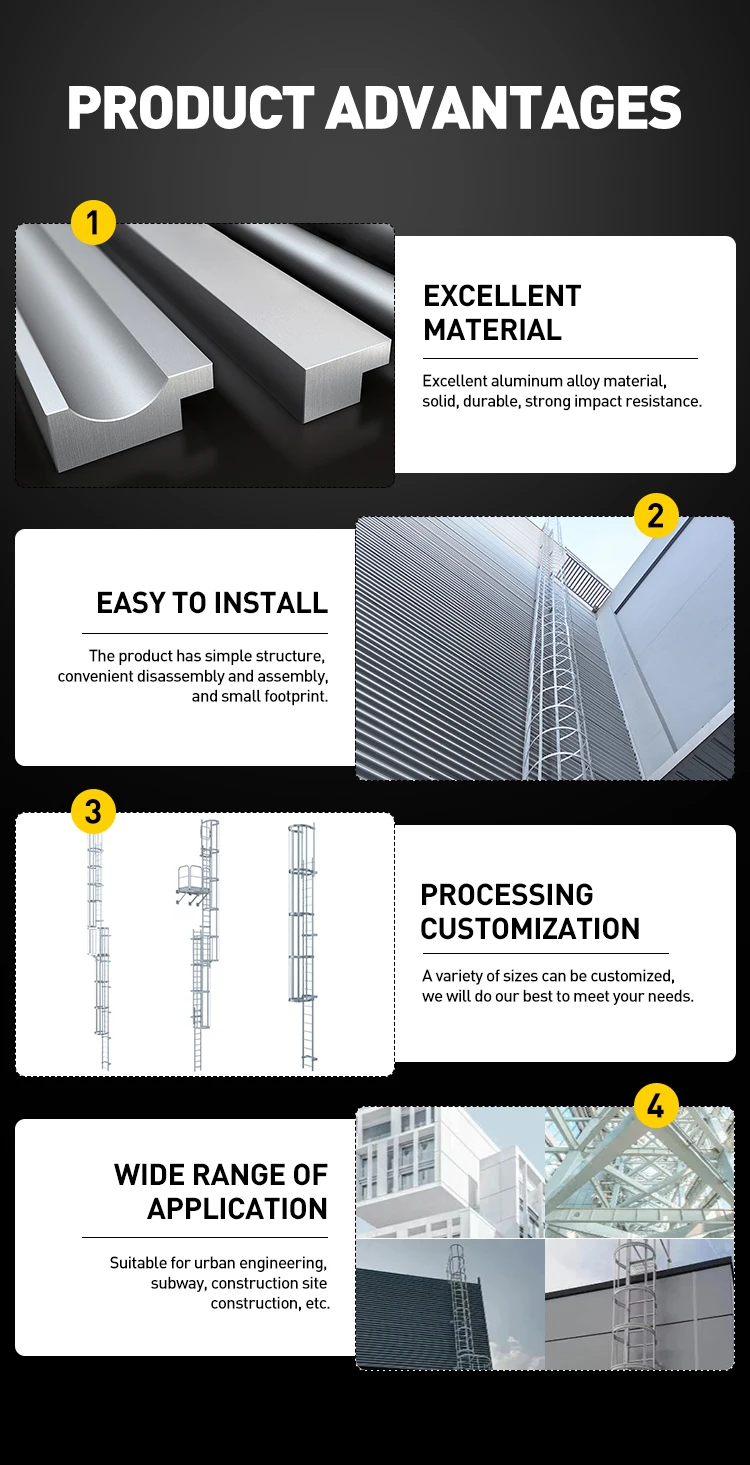 Industrial Outdoor Vertical Cage Ladders Aluminum Material Safety Cat ...