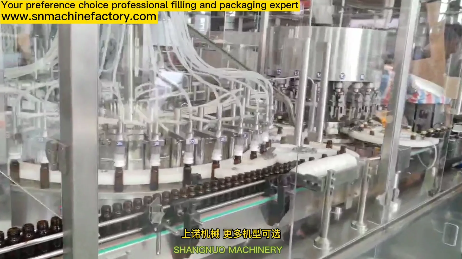 Sn-yz4 Automatic Medical Alcohol Filling Machine Ink Filling Machine ...