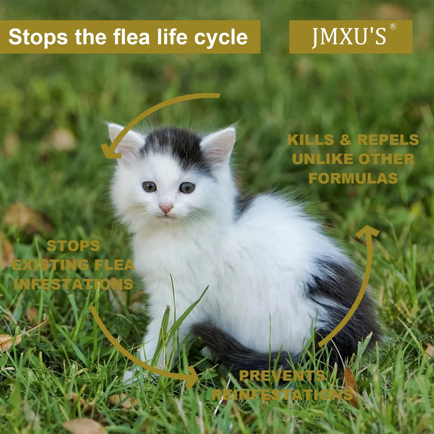 Herbal Flea Treatment Topical Drops,Made With Pure Essential Oils ...