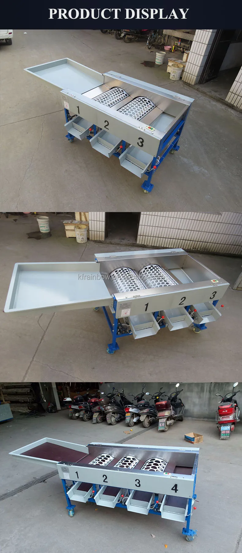 Efficient Olive Washing Grading Machine - 300kg/h Capacity